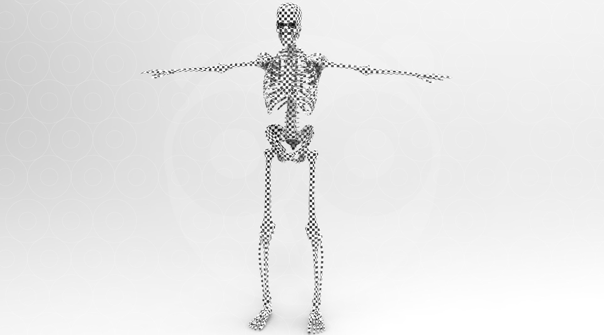 3D Model Skeleton - Animated - TurboSquid 2108542