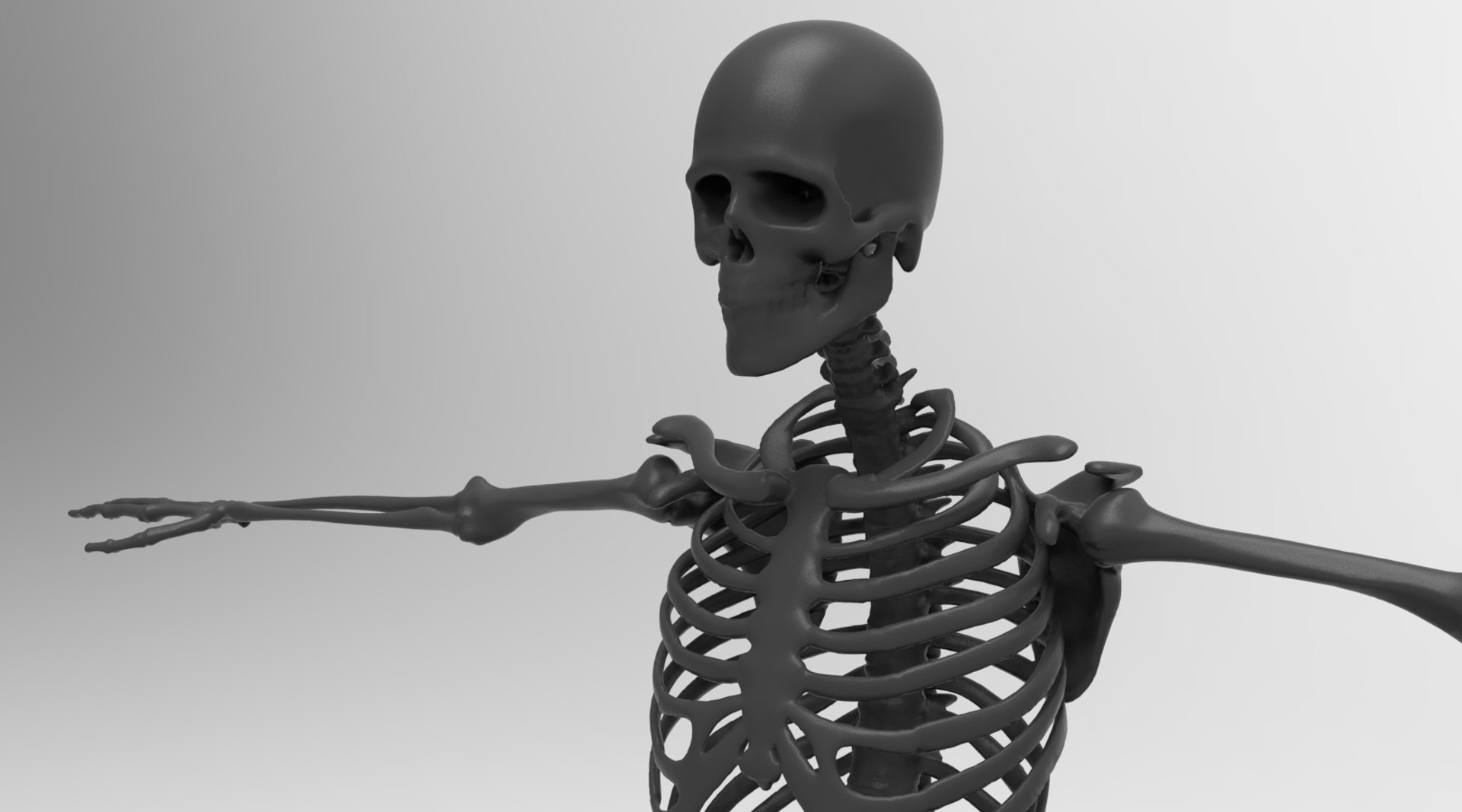 3D model Skeleton - Animated - TurboSquid 2108542