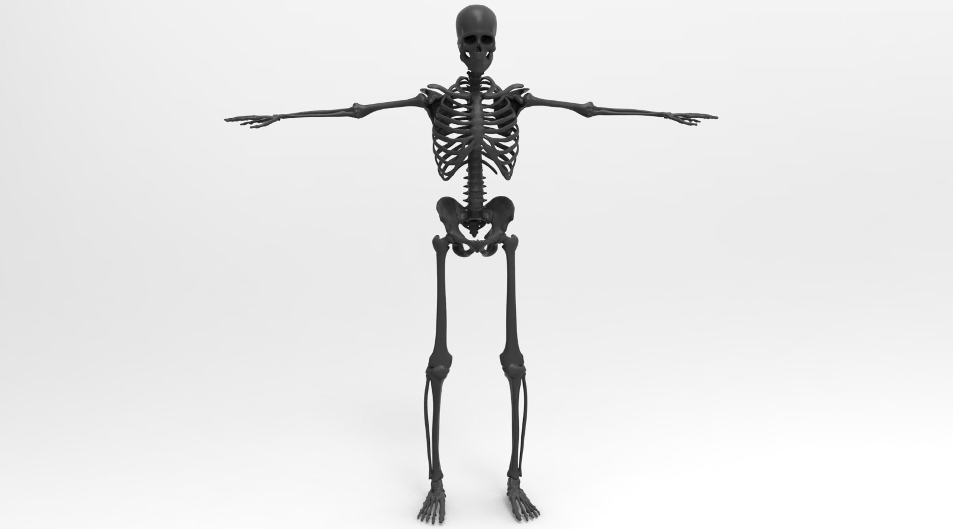 3D model Skeleton - Animated - TurboSquid 2108542