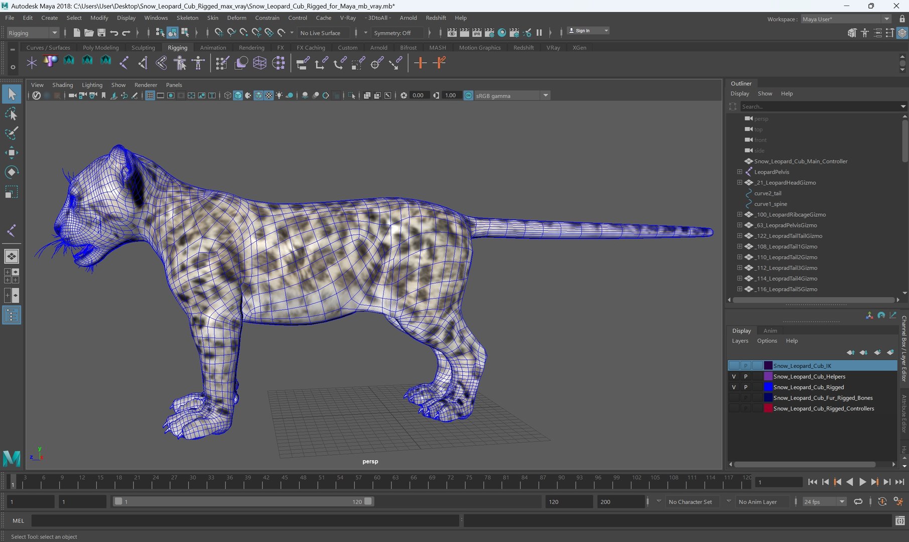 Snow Leopard Cub Rigged For Maya Model - TurboSquid 2381266
