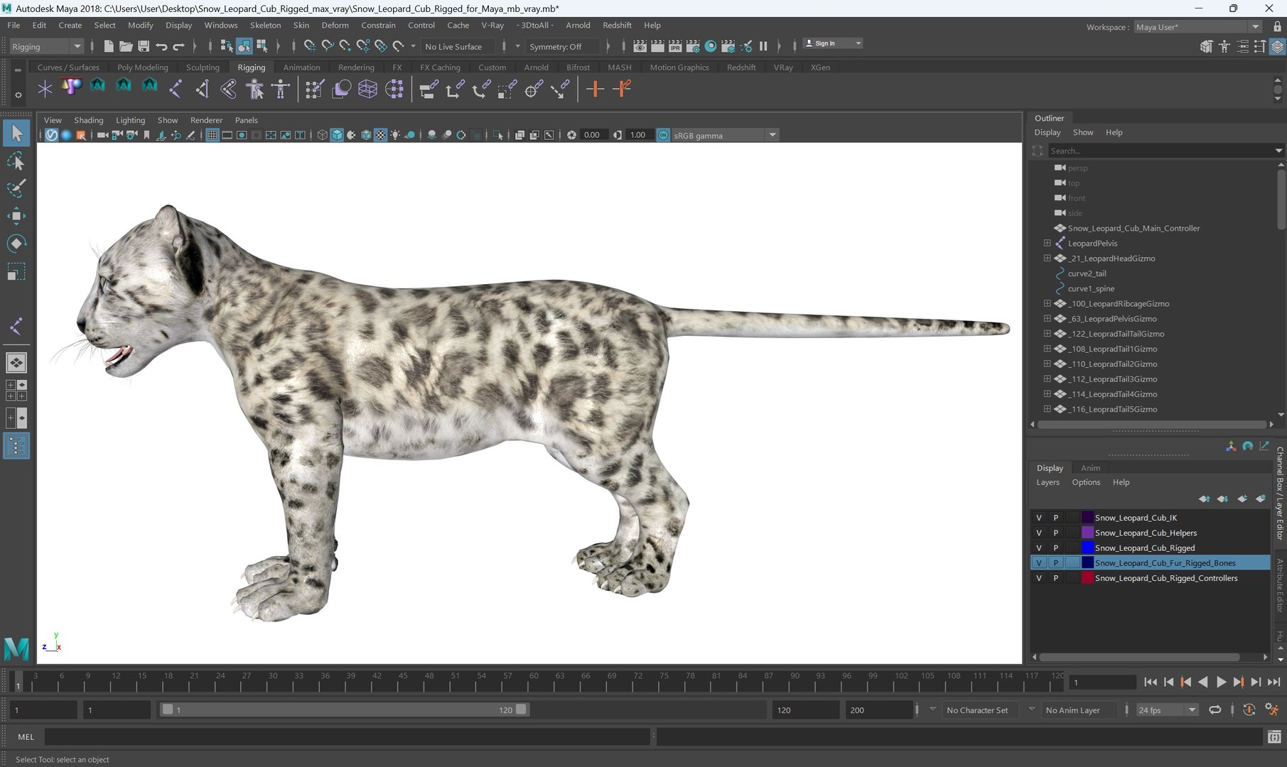 Snow Leopard Cub Rigged For Maya Model - TurboSquid 2381266