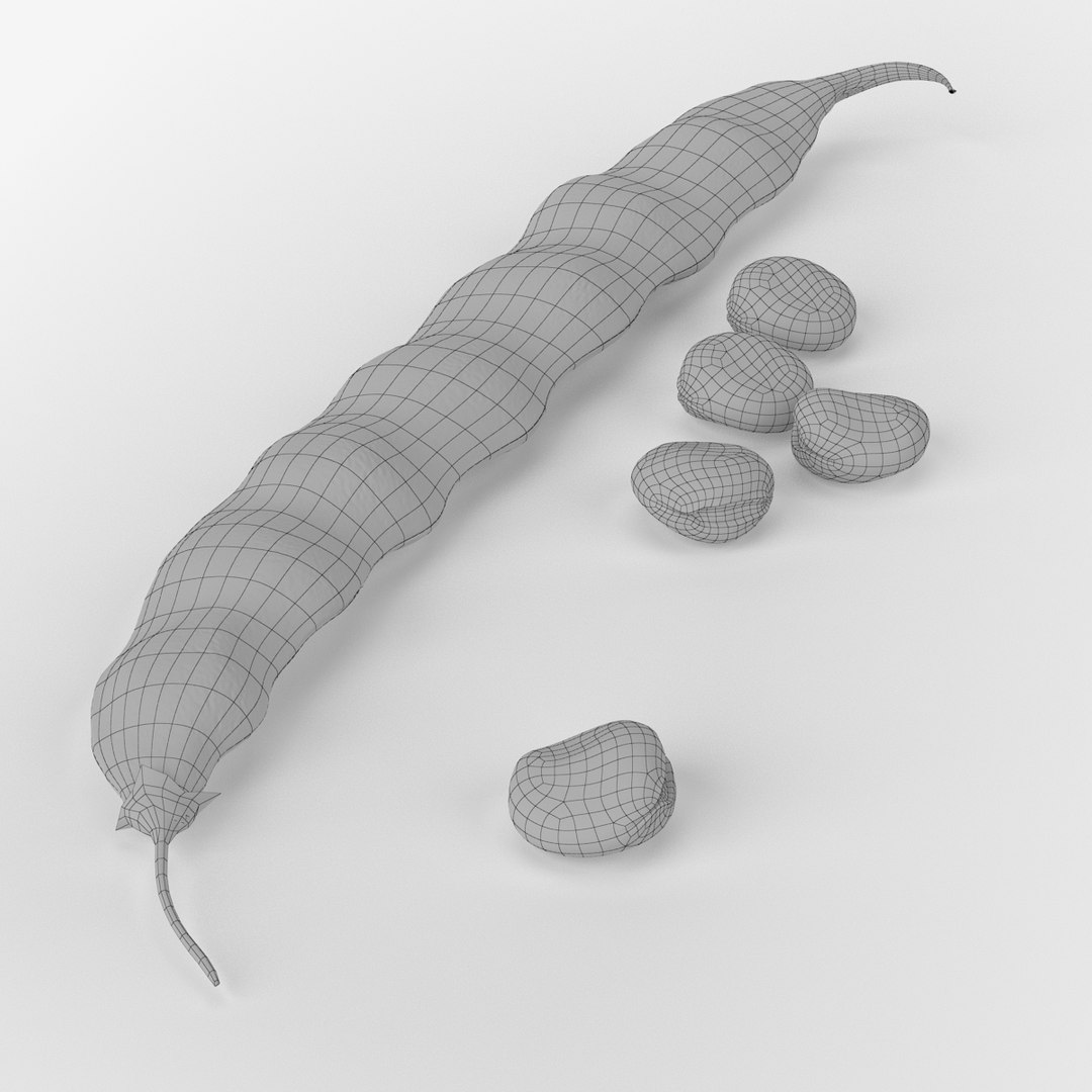 Realistic Beans Real 3d Model