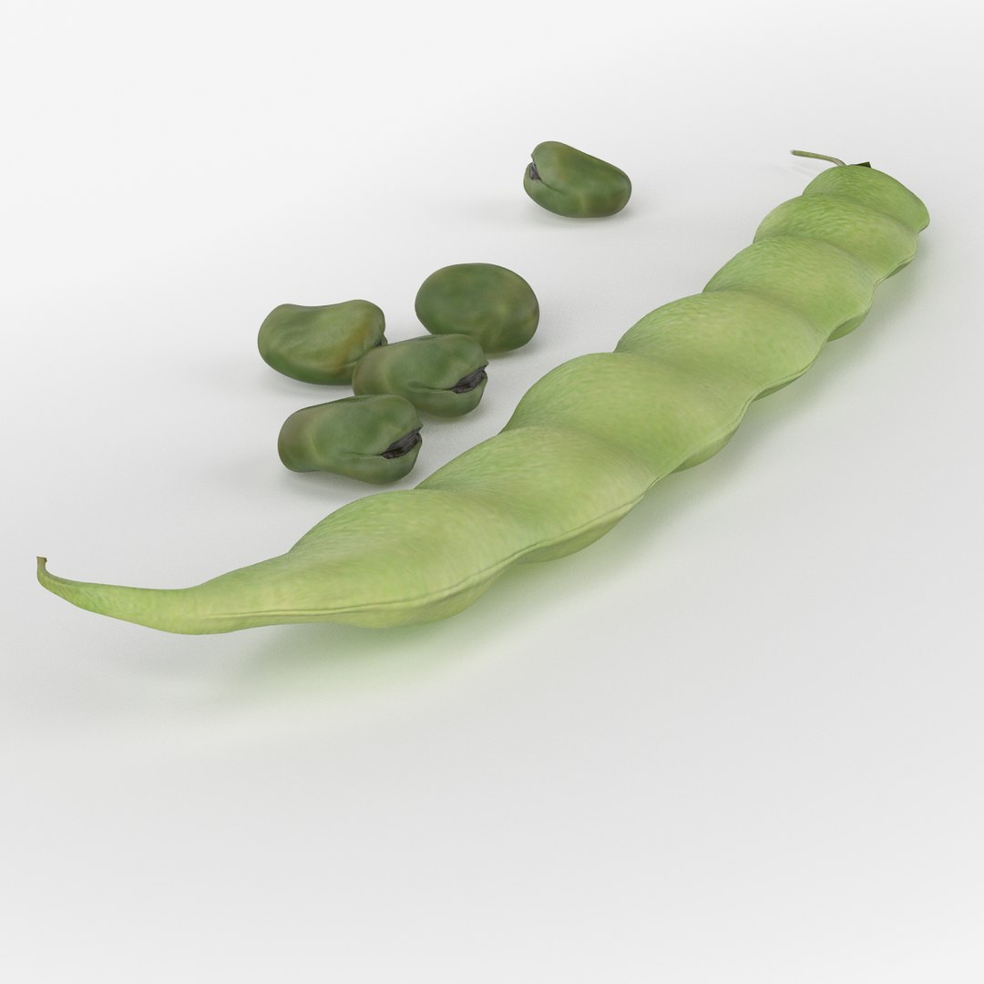 Realistic Beans Real 3d Model