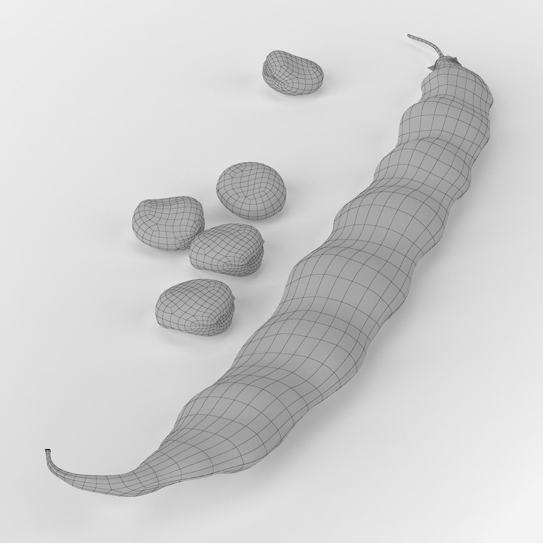Realistic Beans Real 3d Model