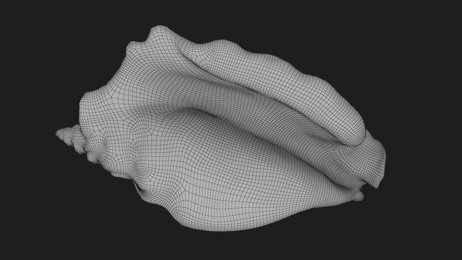 Strombus Sinuatus 02 Model - TurboSquid 2395387