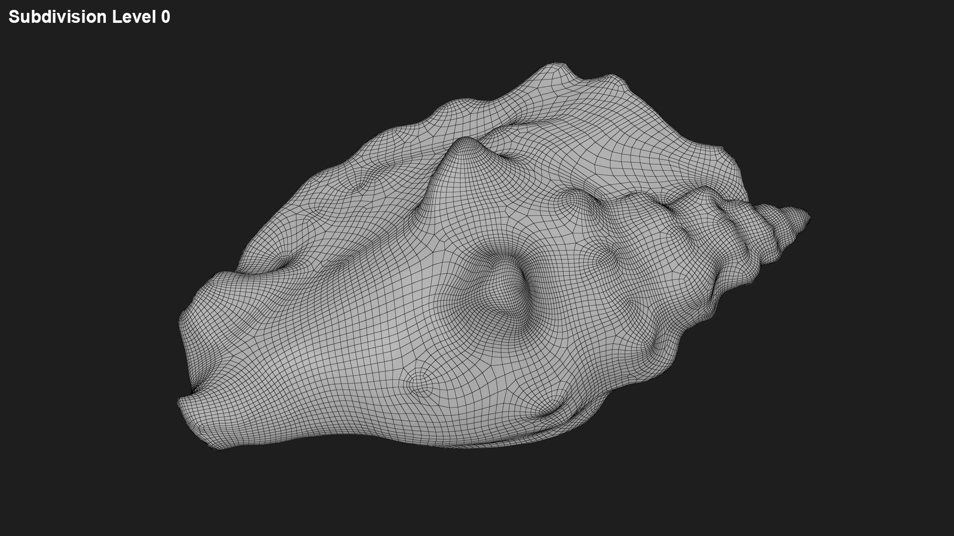 Strombus Sinuatus 02 Model - TurboSquid 2395387