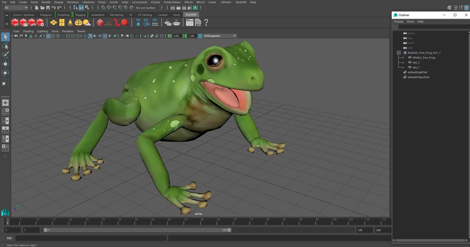 3D Realistic Tree Frog - TurboSquid 2249623