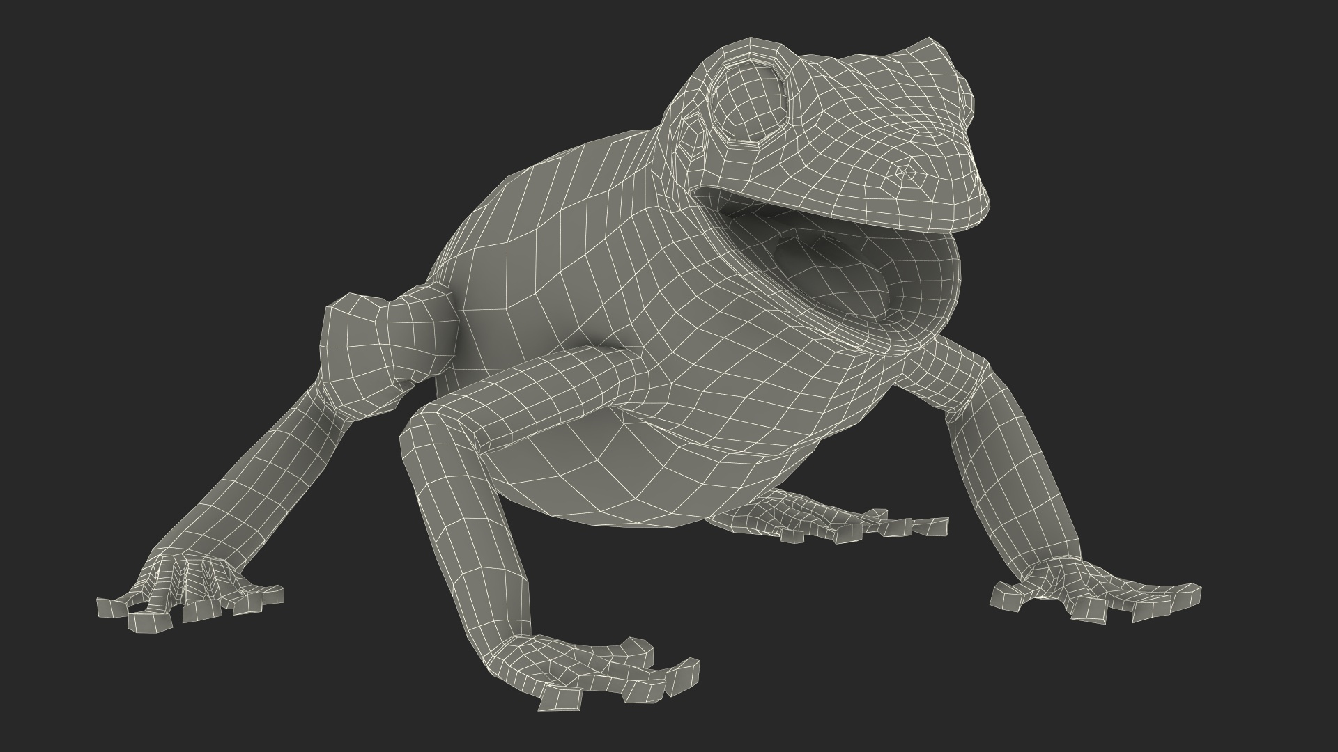 3D Realistic Tree Frog - TurboSquid 2249623