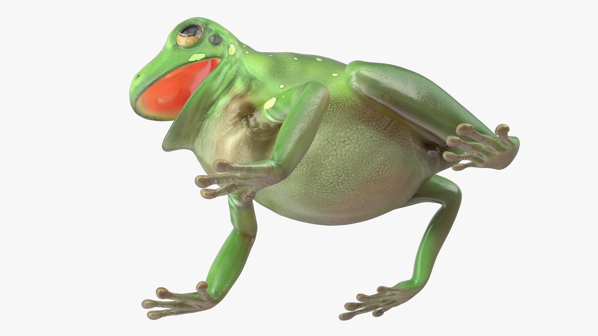3D Realistic Tree Frog - TurboSquid 2249623