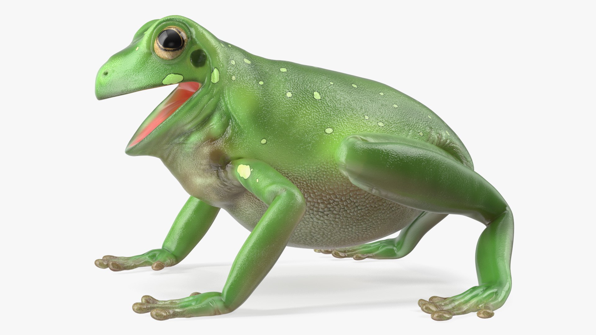 3D Realistic Tree Frog - TurboSquid 2249623