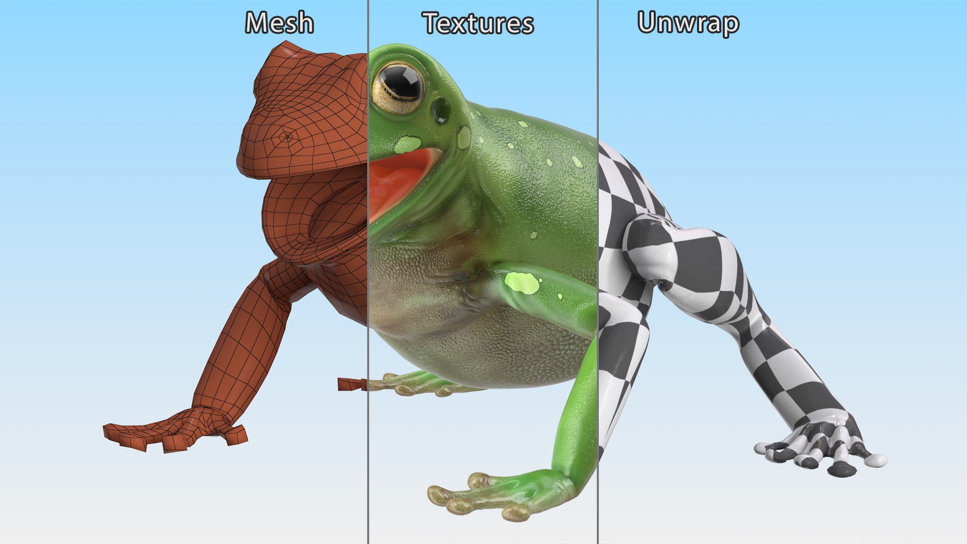 3D Realistic Tree Frog - TurboSquid 2249623