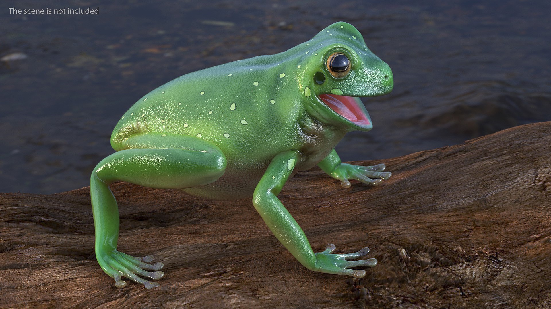3D Realistic Tree Frog - TurboSquid 2249623