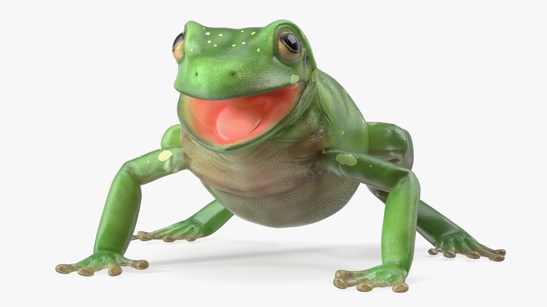 3D Realistic Tree Frog - TurboSquid 2249623