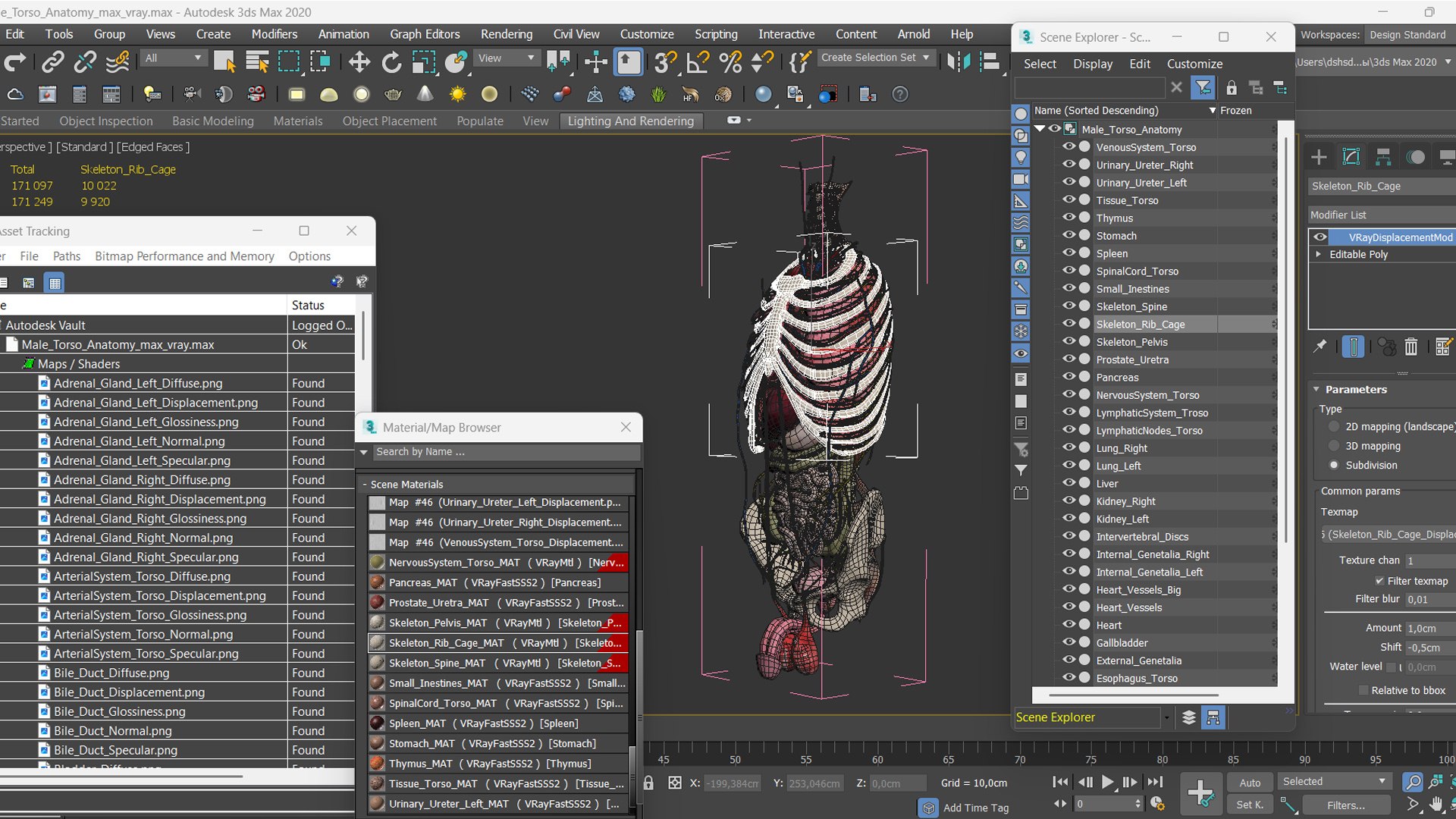 3D Male Torso Anatomy Model - TurboSquid 2387197