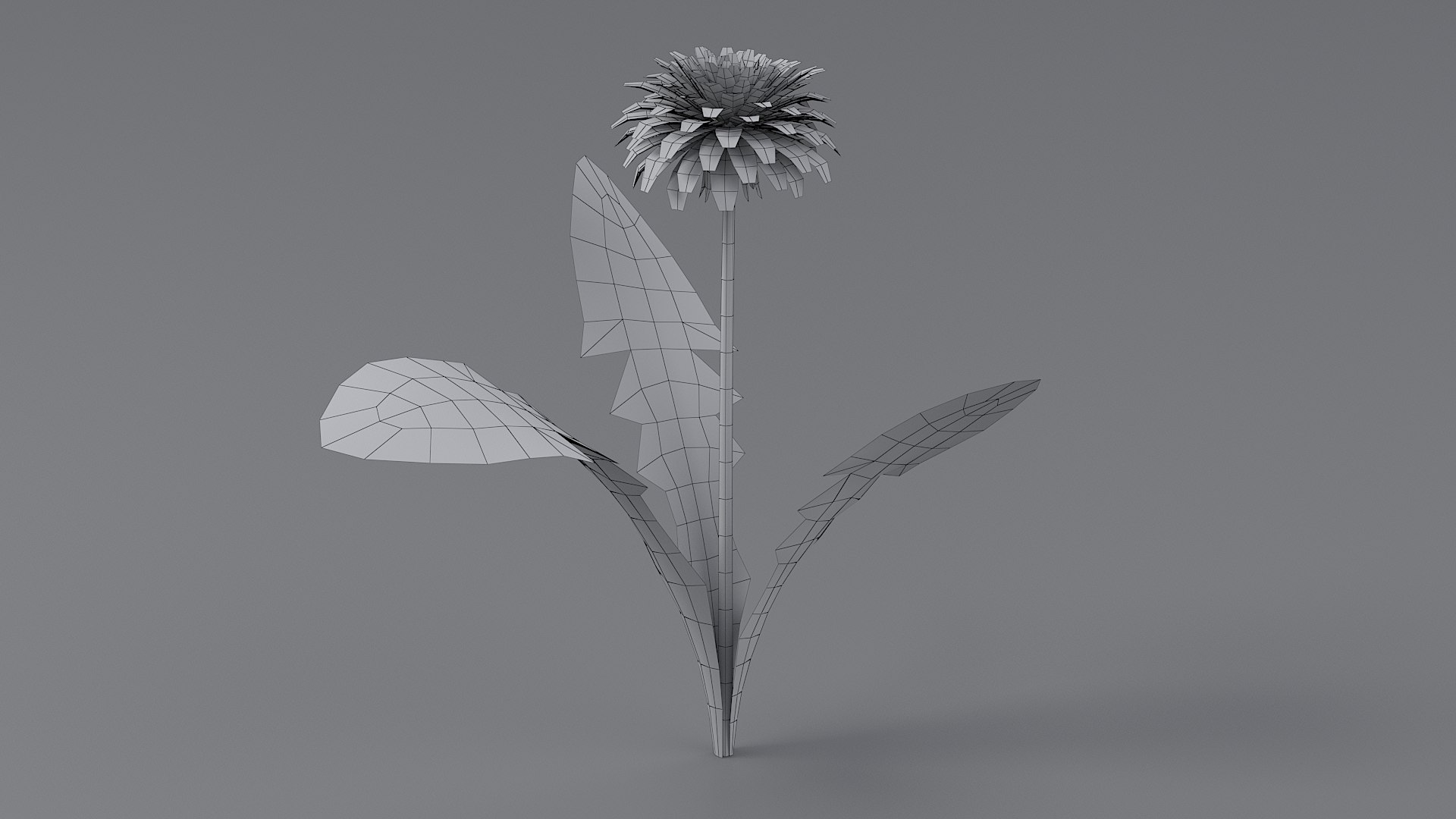 3D Cartoon Dandelion 02 - TurboSquid 2048030
