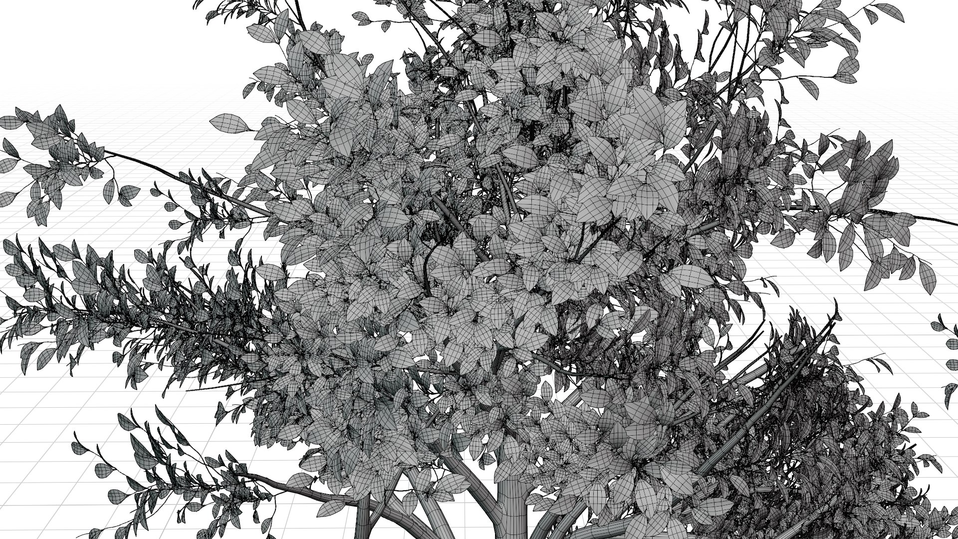 Nature Tree Model - TurboSquid 2107520