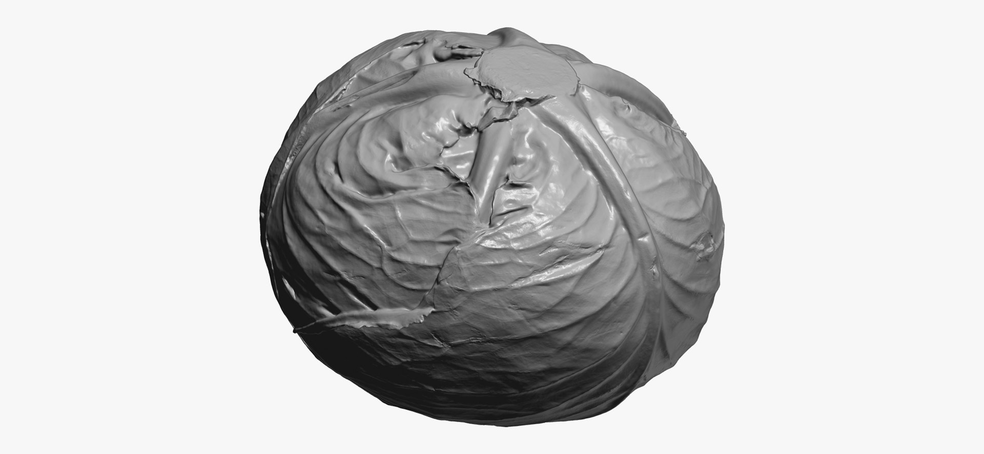 3D Cabbage 01 RAW Scan Model - TurboSquid 1862082
