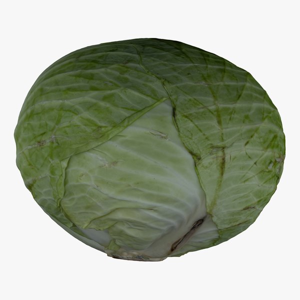 3D Cabbage 01 RAW Scan model - TurboSquid 1862082