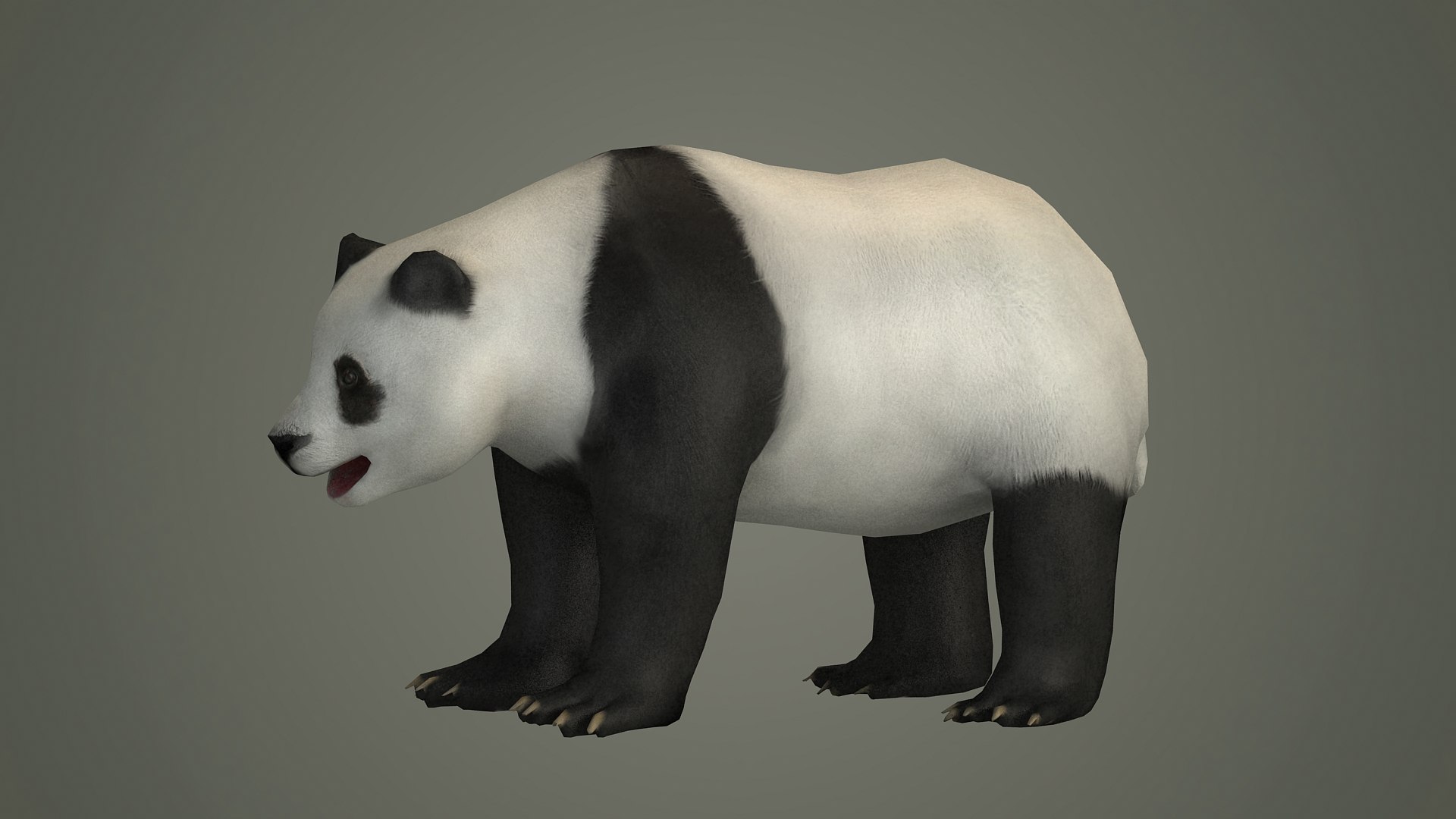 Panda Bear Wildlife Beast Wild Fur Teddy Outdoors Mammal 3D Model ...