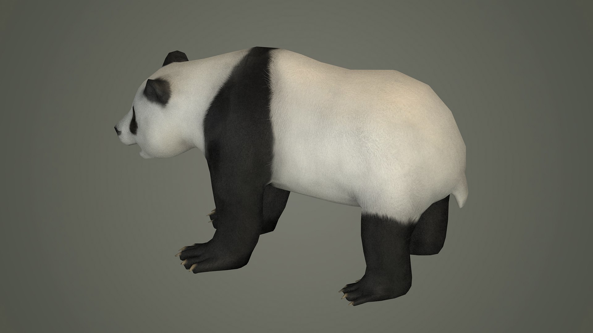 Panda Bear Wildlife Beast Wild Fur Teddy Outdoors Mammal 3D Model ...