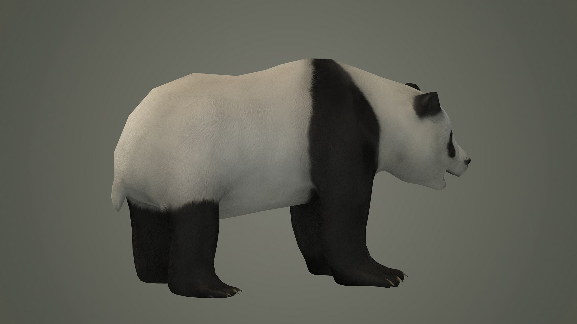 Panda Bear Wildlife Beast Wild Fur Teddy Outdoors Mammal 3D Model ...