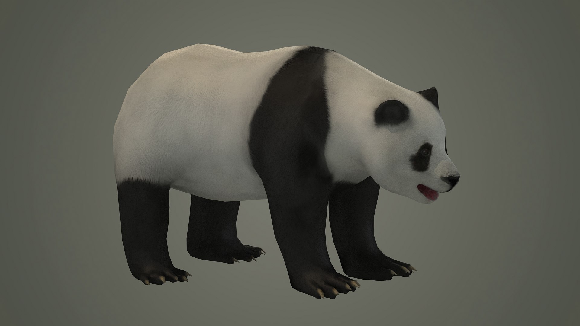 Panda Bear Wildlife Beast Wild Fur Teddy Outdoors Mammal 3D Model ...