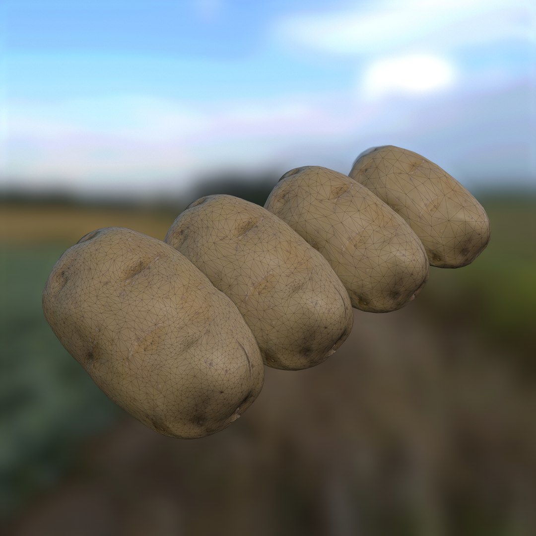 Realistic Potato 3D - TurboSquid 1546235
