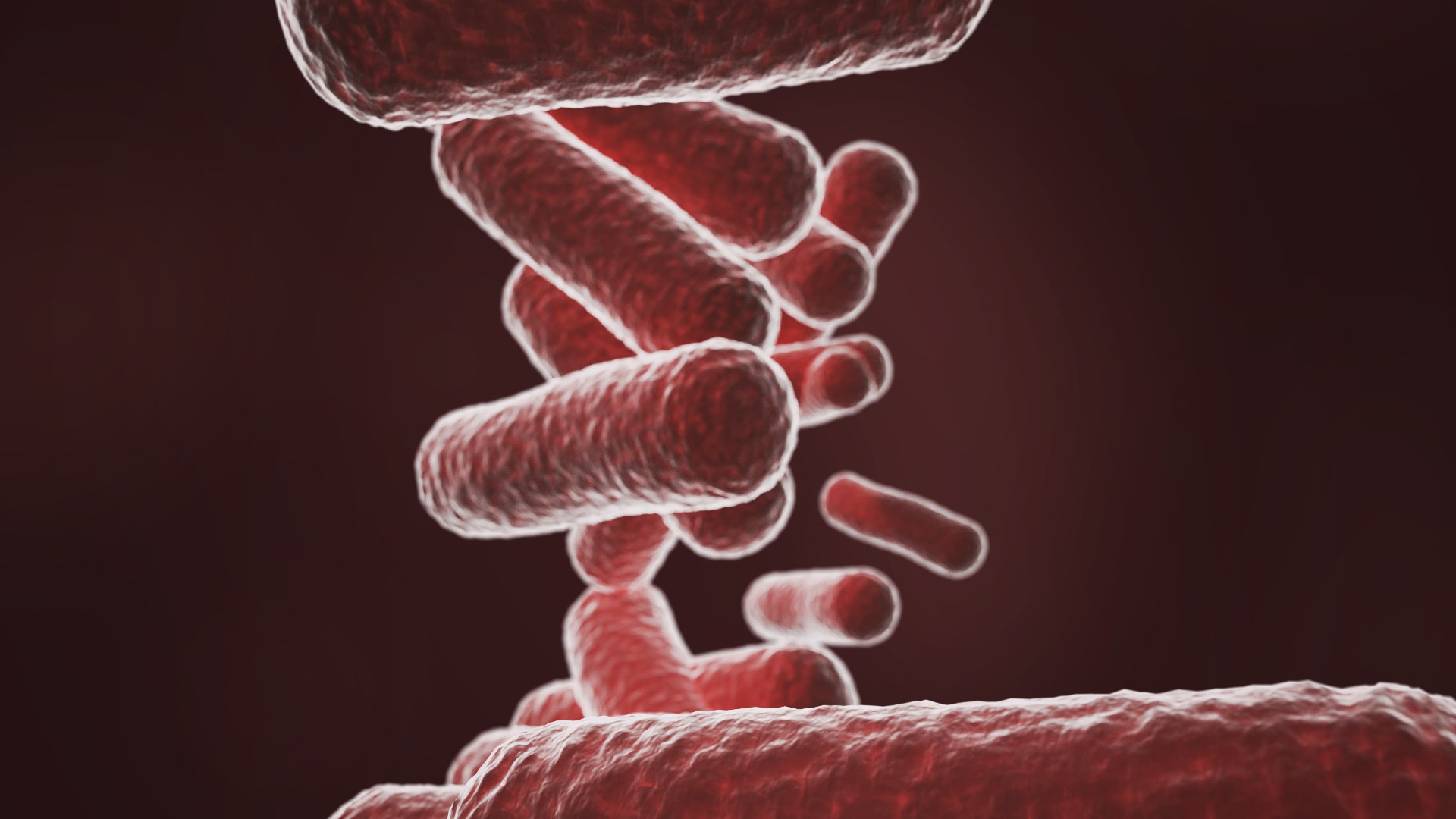 Bacillus Bacteria Model - TurboSquid 1522925