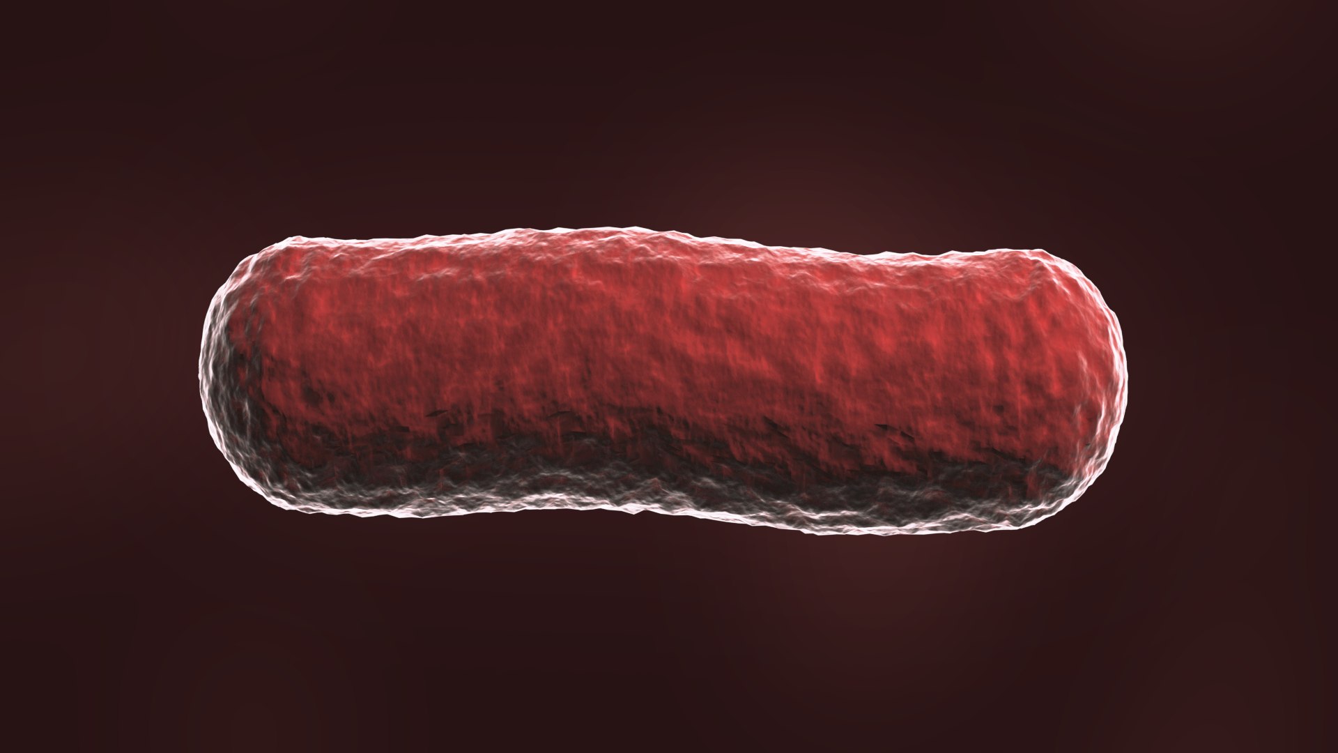 Bacillus Bacteria Model - TurboSquid 1522925