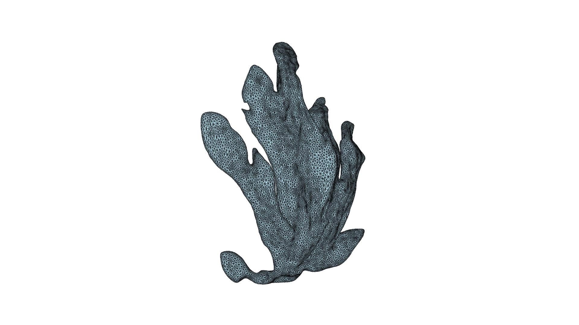 3D Seaweed Model - TurboSquid 2221429