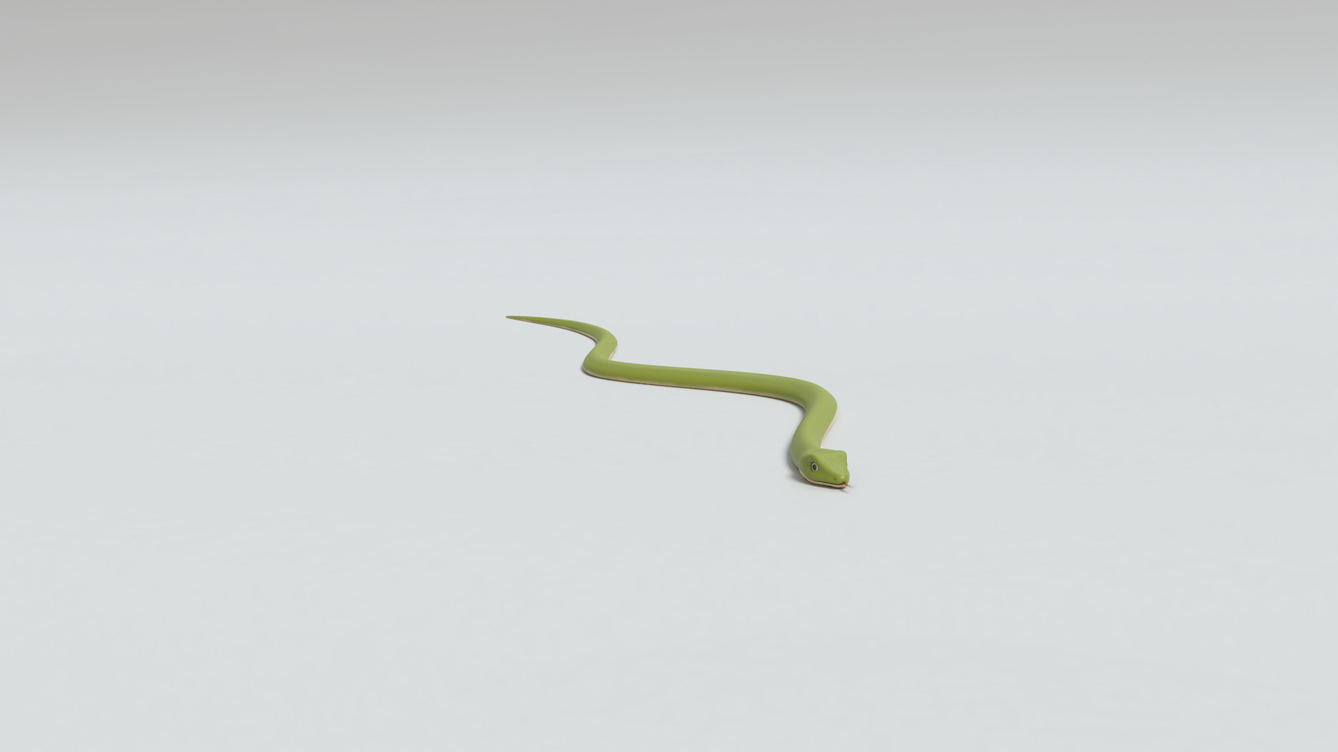 Cartoon Toon Animal 3D Model - TurboSquid 1675095