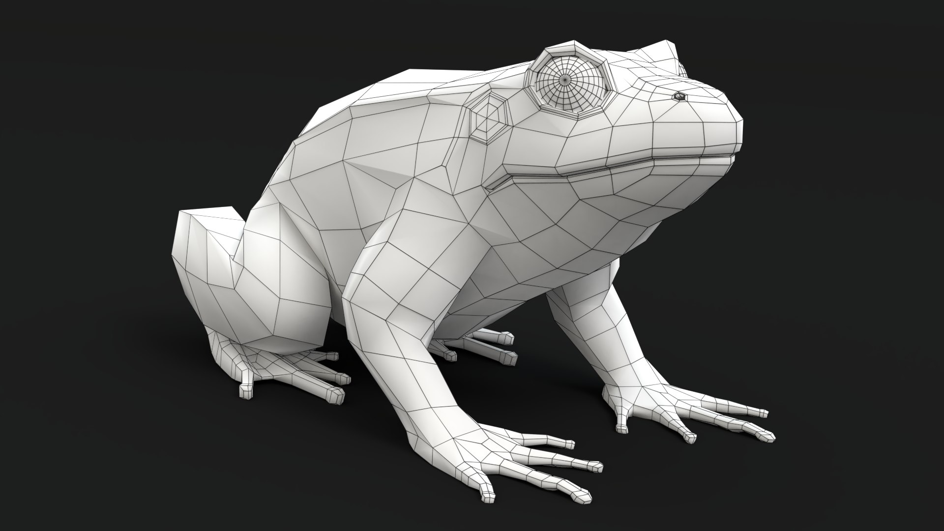 Cartoon Toon Animal 3D Model - TurboSquid 1675095