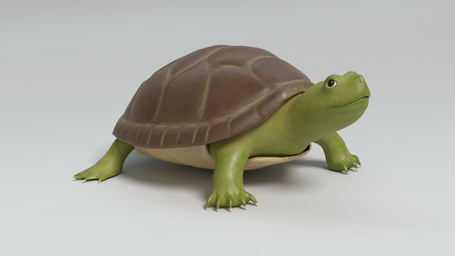 Cartoon Toon Animal 3D Model - TurboSquid 1675095