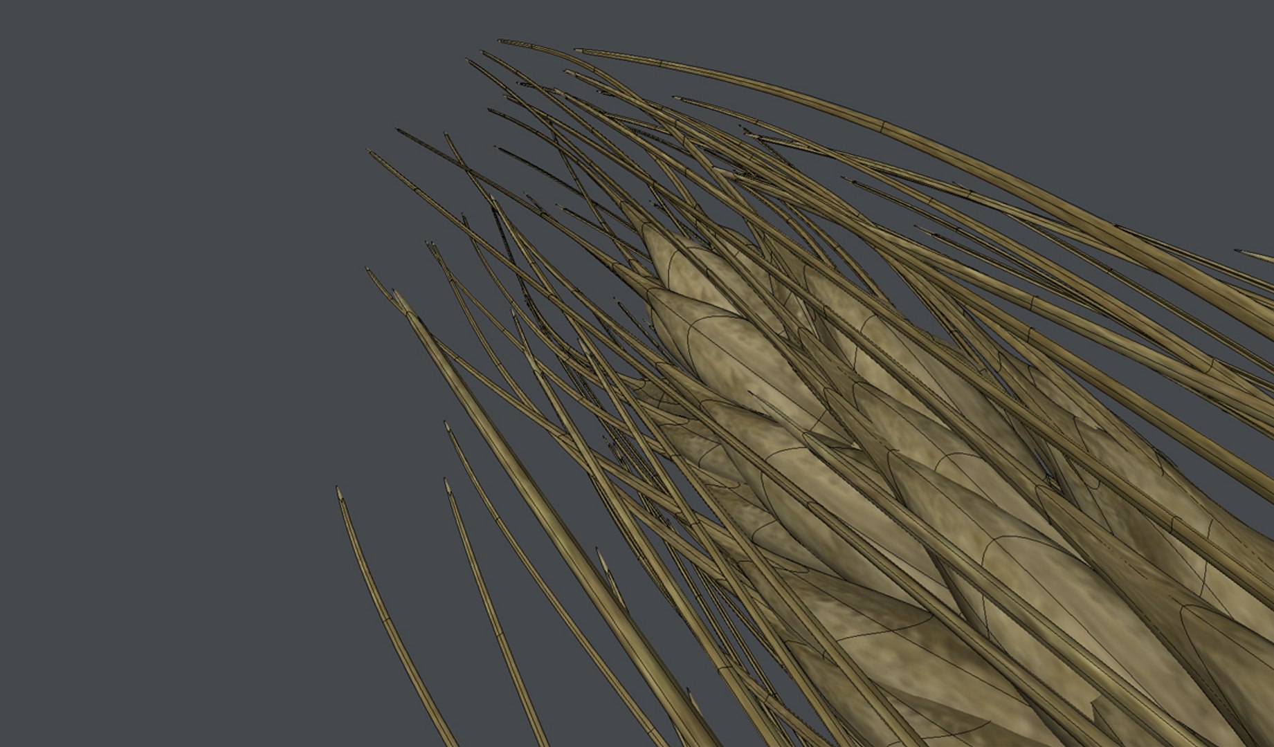 3d Model Wheat Spike