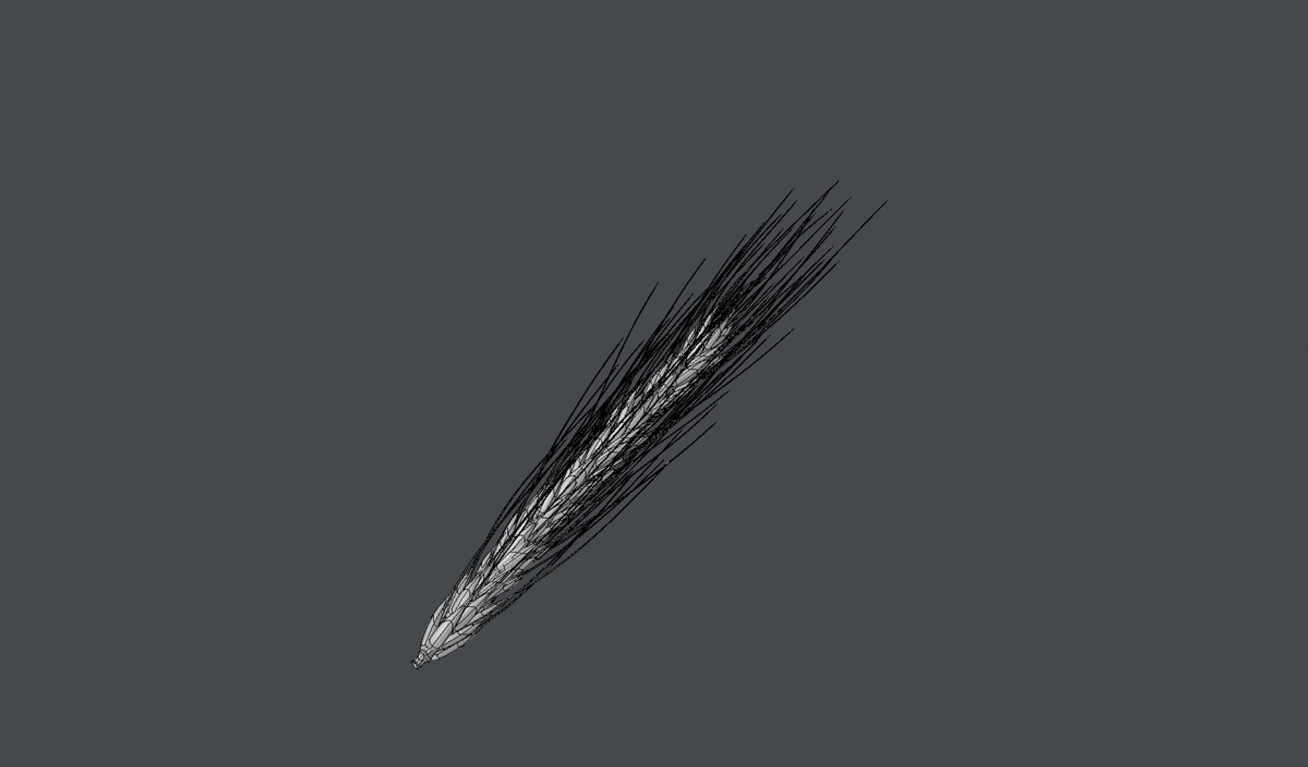 3d Model Wheat Spike