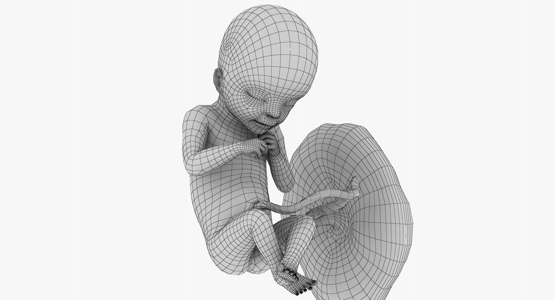Fetus Week 3D Model - TurboSquid 1223545
