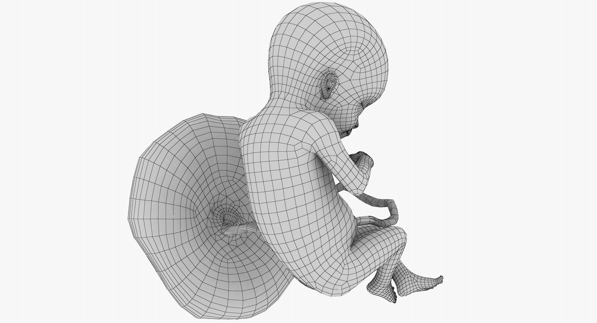 Fetus Week 3D Model - TurboSquid 1223545