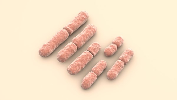 Bacillus model - TurboSquid 1873079