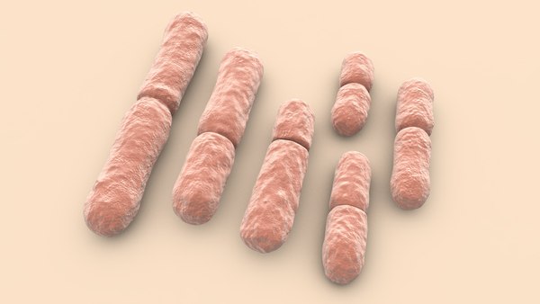 Bacillus model - TurboSquid 1873079