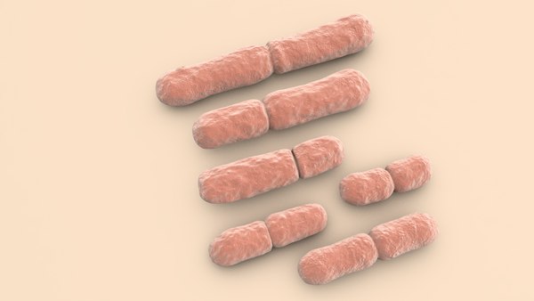 Bacillus model - TurboSquid 1873079