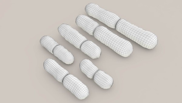Bacillus model - TurboSquid 1873079