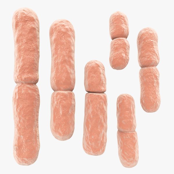 3D Bacillota Models | TurboSquid