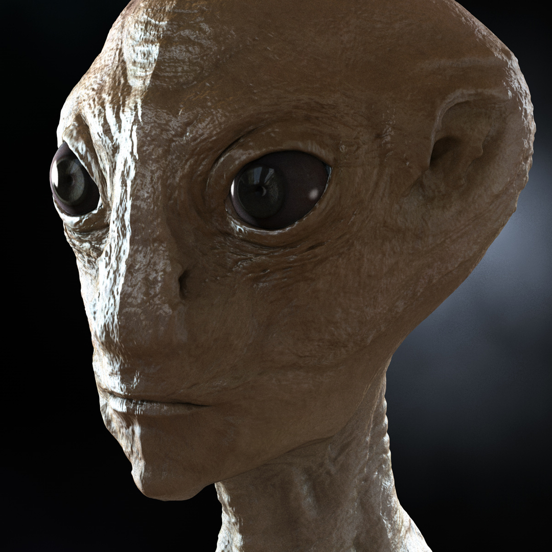 3D ZBrush alien bust humanoid
