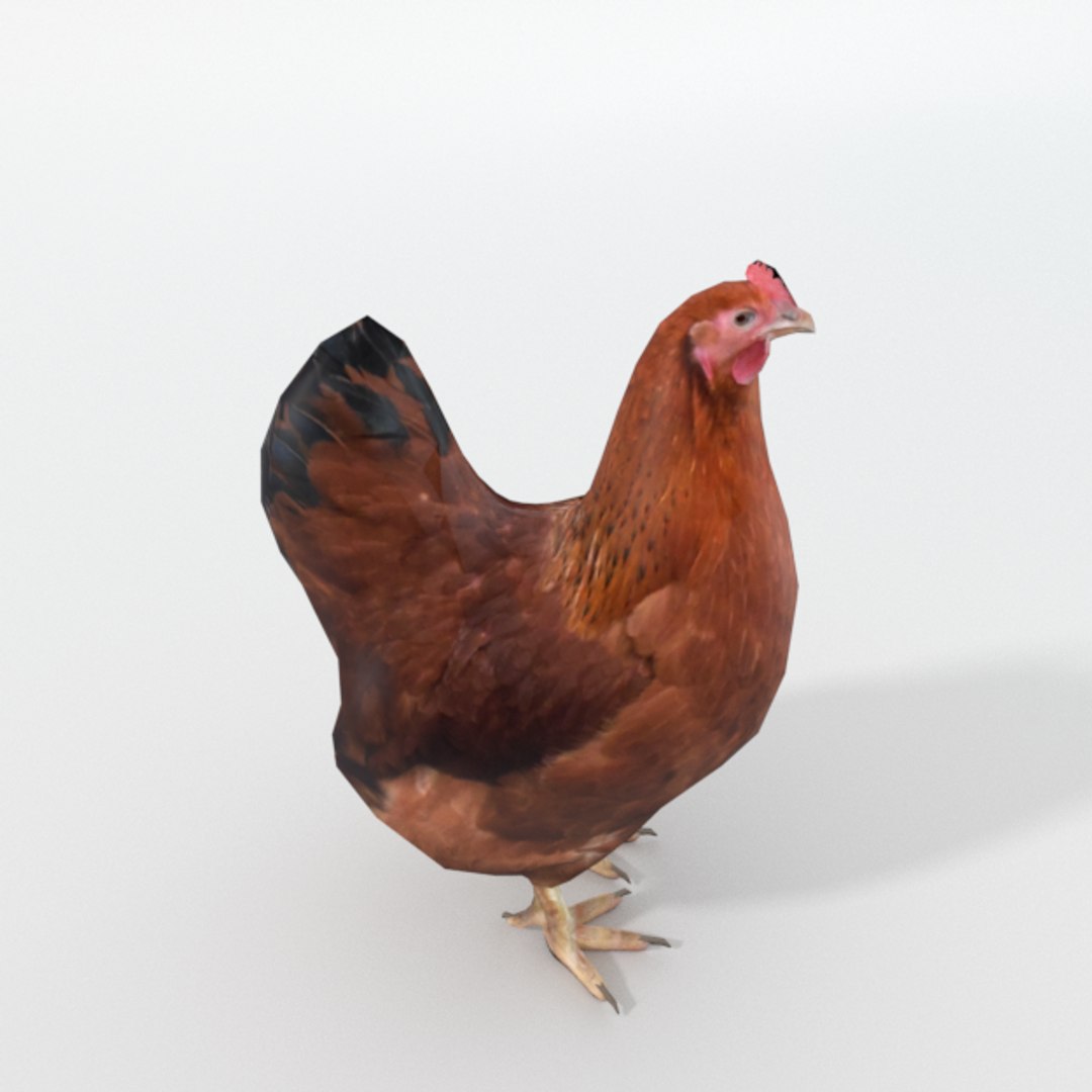Chicken Model - TurboSquid 1322165