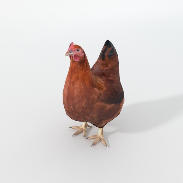 Chicken foot 3D model - TurboSquid 1954721