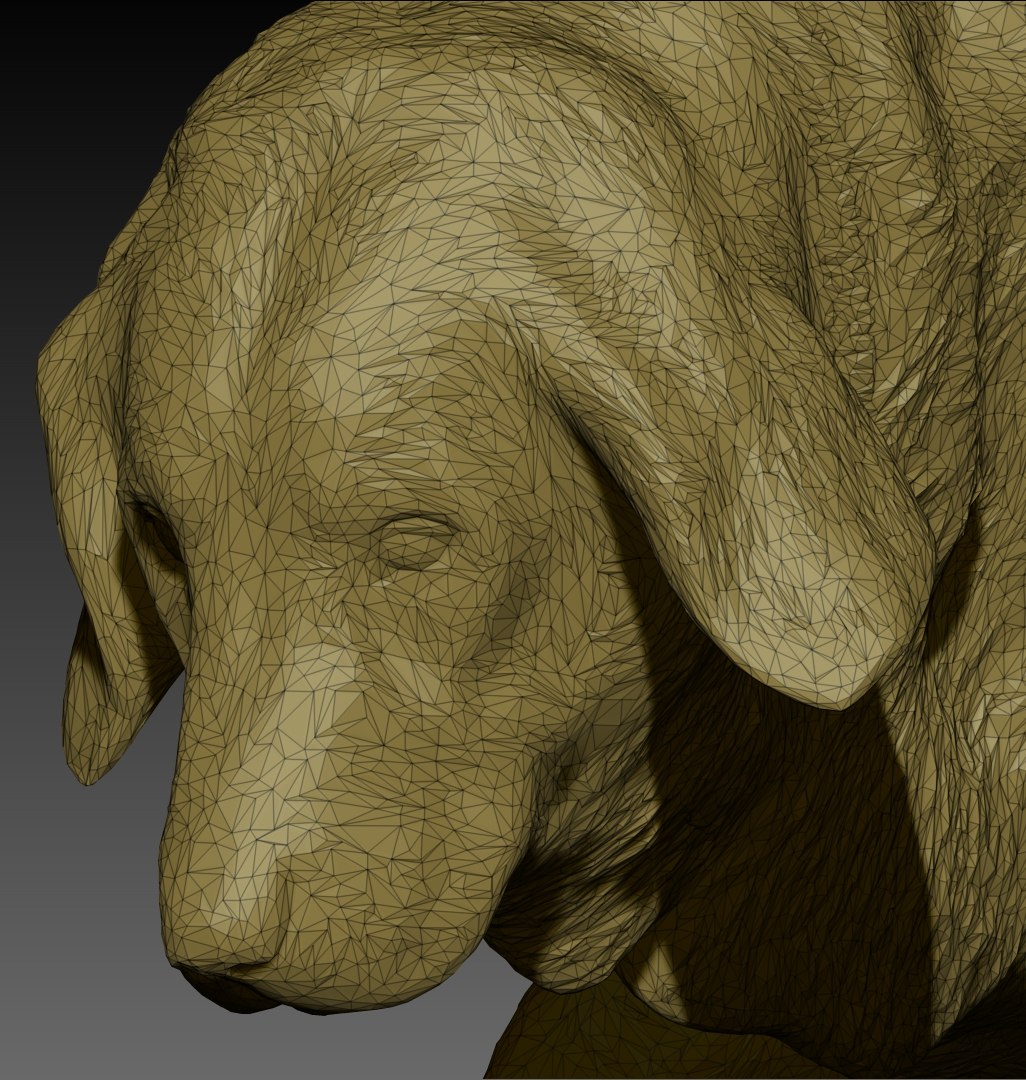 Golden Retriever Dog 33 3D Model - TurboSquid 2082992