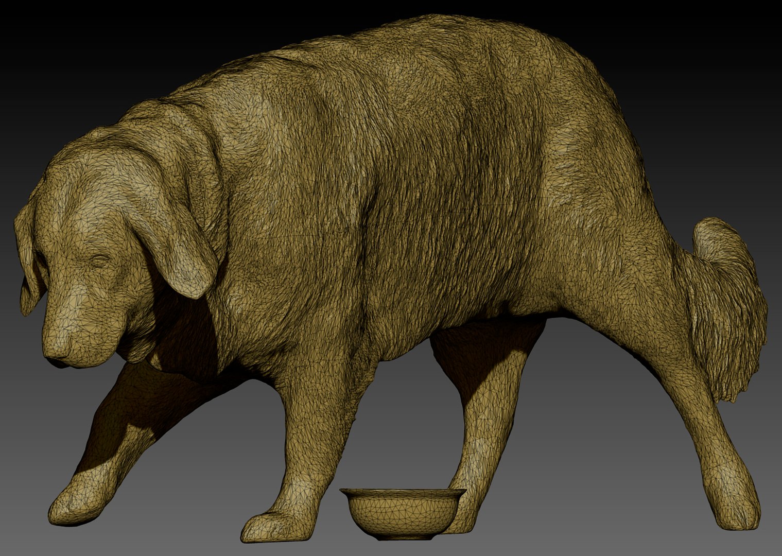 Golden Retriever Dog 33 3D Model - TurboSquid 2082992