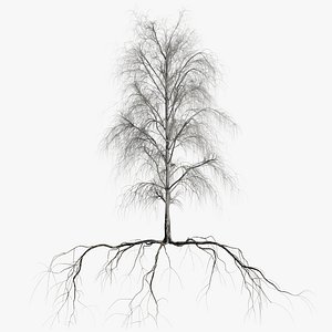 Tree Roots Blender Models for Download | TurboSquid