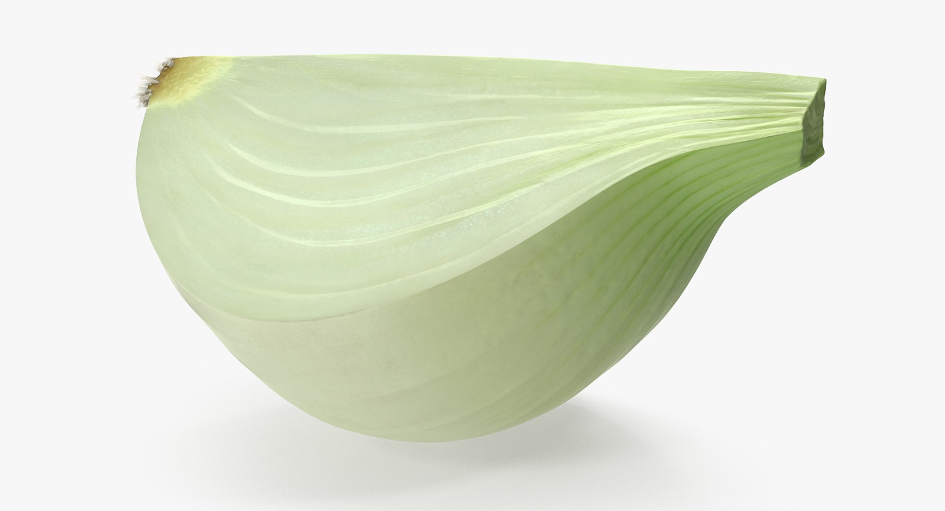 3D onion 2 - TurboSquid 1191575