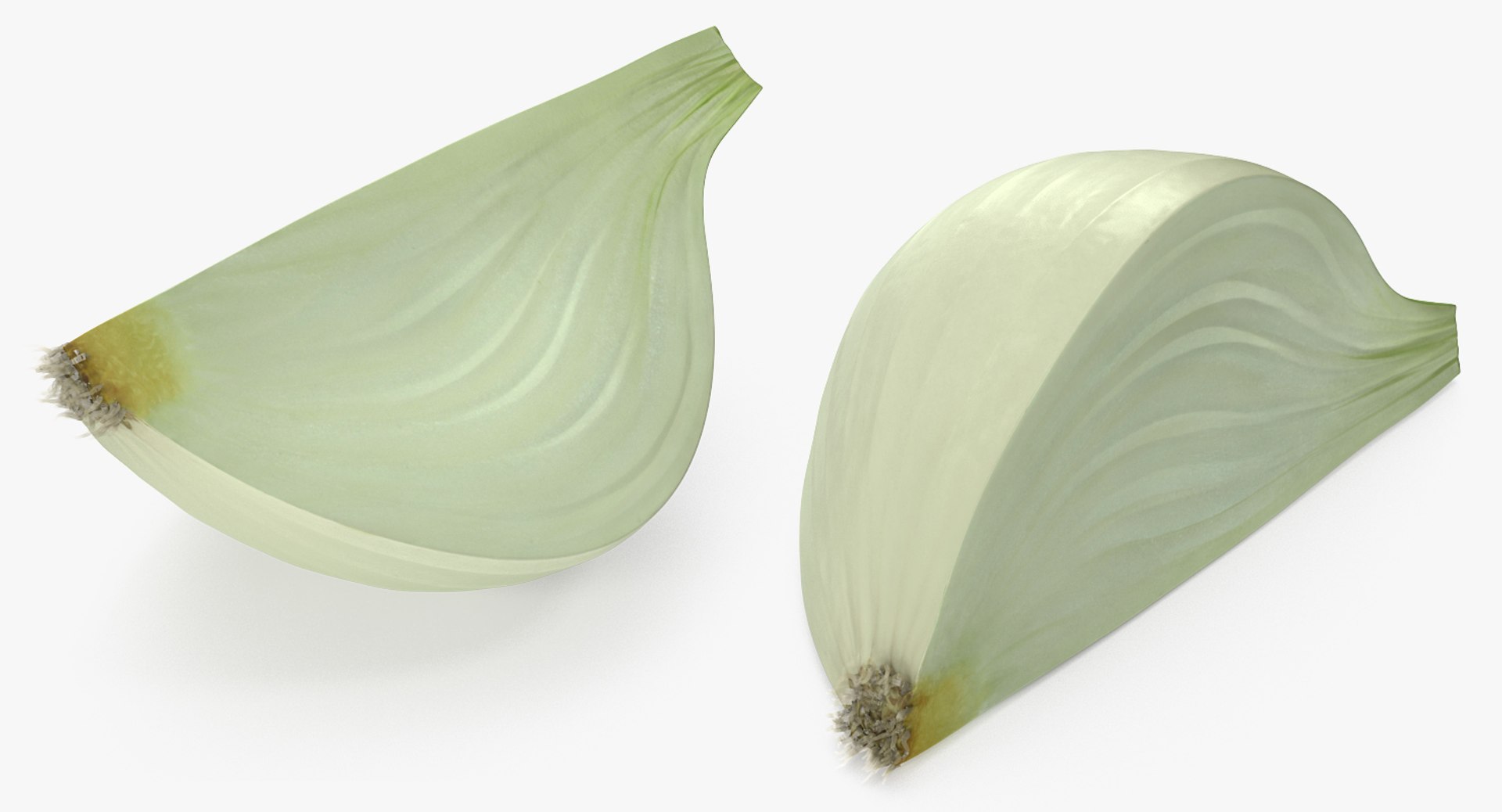 3D onion 2 - TurboSquid 1191575